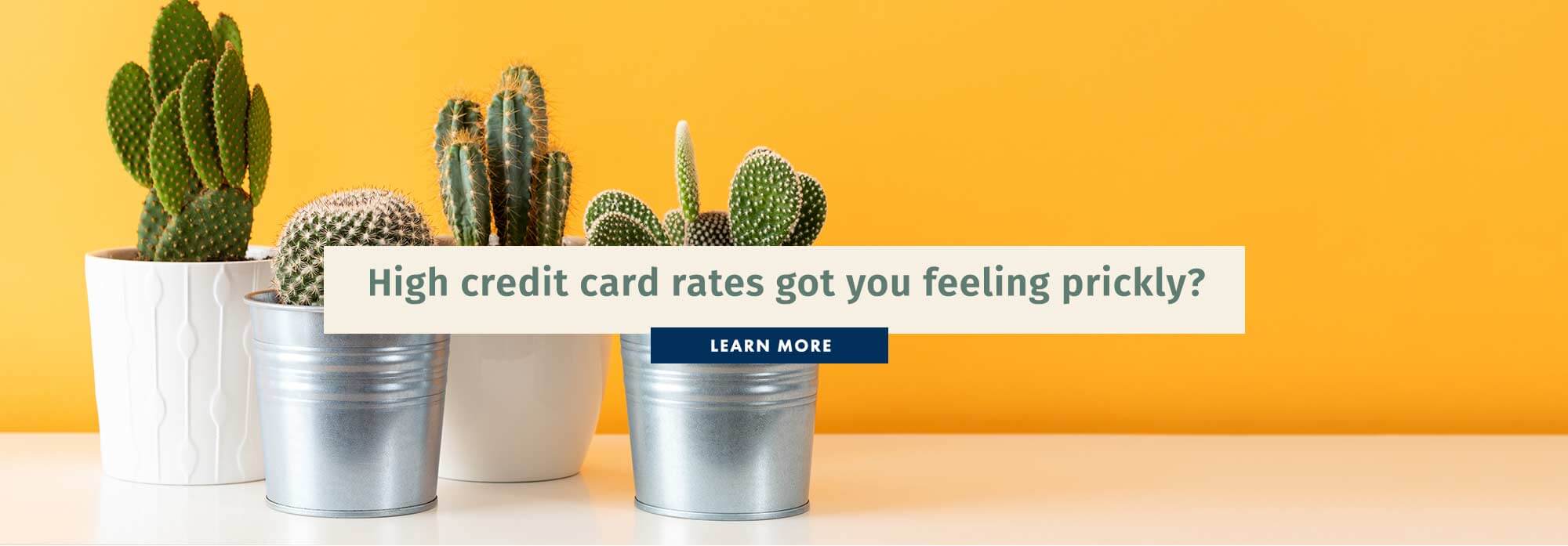 1st MidAmerica Credit Union